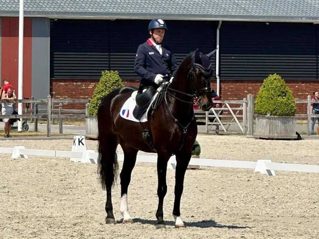 Pays de Loire - Jeux paralympiques en équitation : « J’aimerais ...