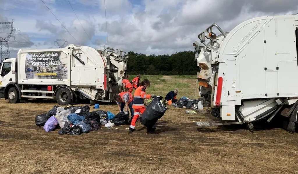 Rave party en Maine-et-Loire : le Parc naturel régional s’inquiète des ...