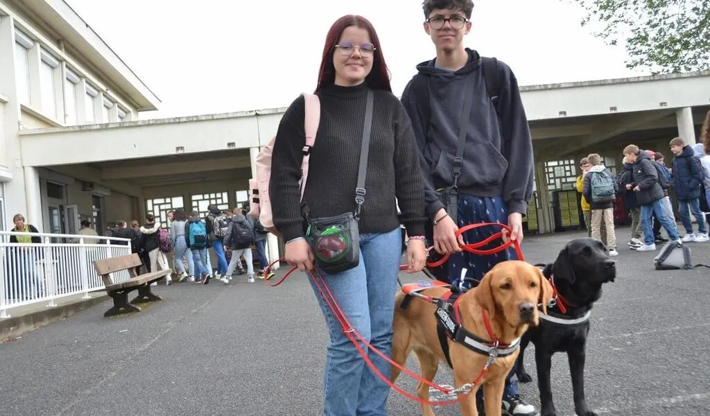 REPORTAGE. Sunset et Sully, les chiens guides de Jules et Louise, ne ...