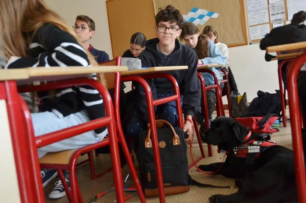 REPORTAGE. Sunset et Sully, les chiens guides de Jules et Louise, ne ...