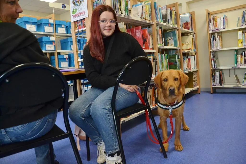 REPORTAGE. Sunset et Sully, les chiens guides de Jules et Louise, ne ...