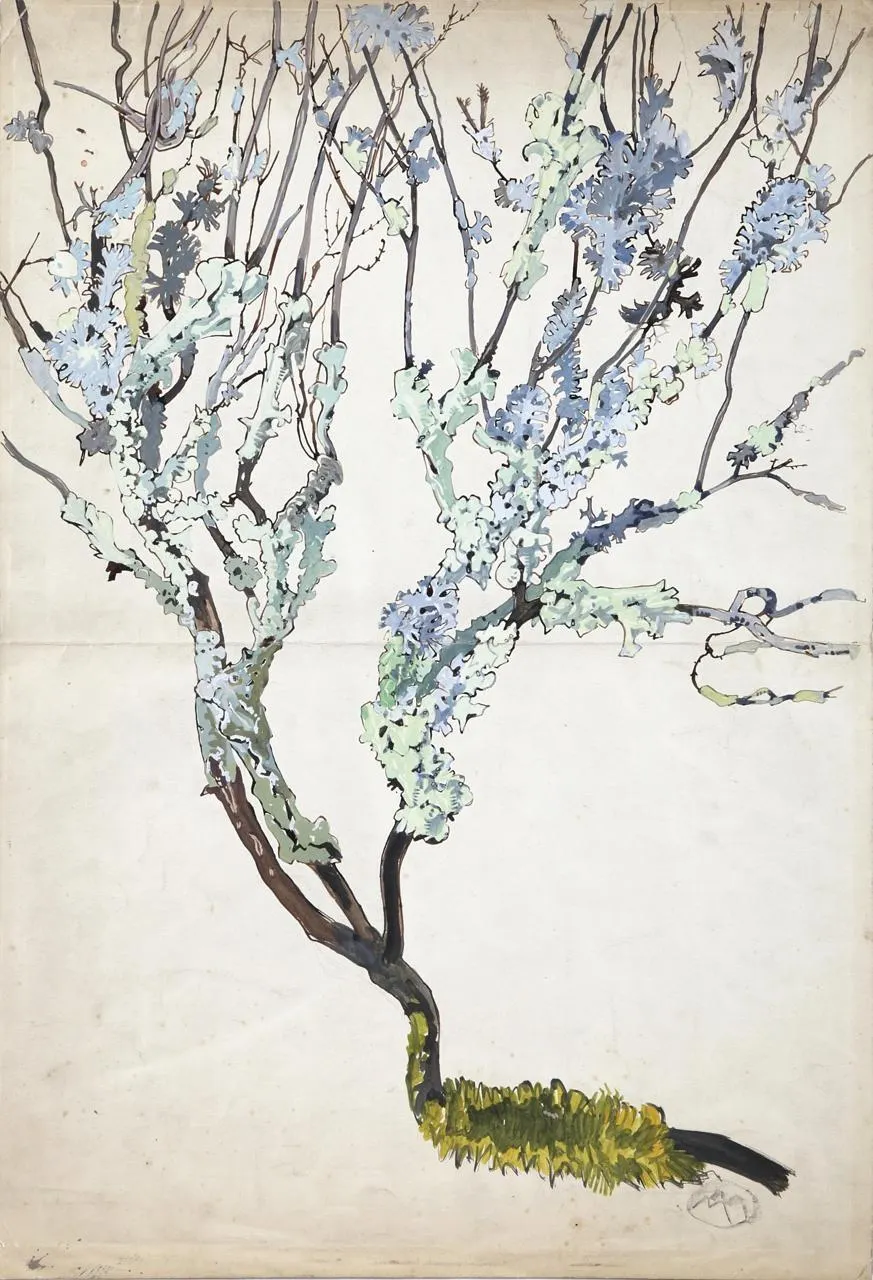 « Lichen », l’œuvre de Mathurin Méheut, un peintre breton épris de ...