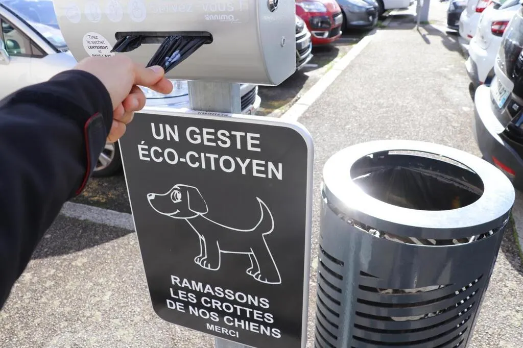 Que risquez-vous si ne vous ramassez pas les crottes de votre chien ...