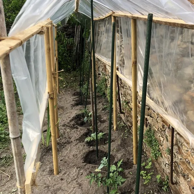 Vous avez bricolé une serre sur votre terrasse ou dans votre jardin ...