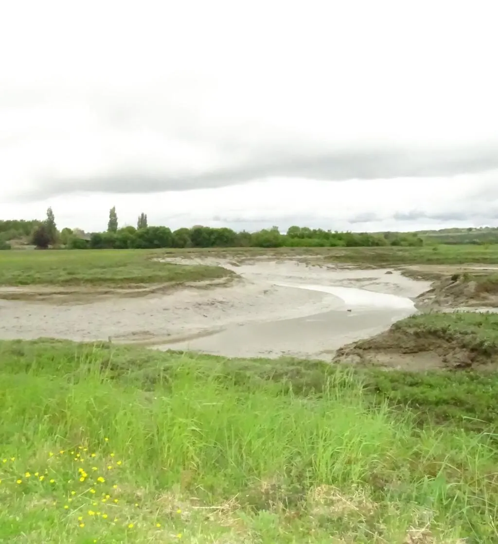 Pleudihen-sur-Rance. Au Bas-Champ, une opération de nettoyage de l ...