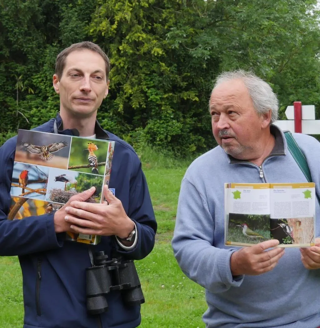 Valdallière. Des cigognes blanches aperçues à la commanderie - Caen ...