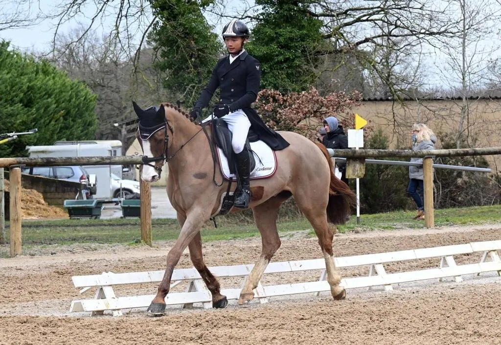 JO 2024 - Équitation. Un accident de voiture risque de priver Korntawat ...