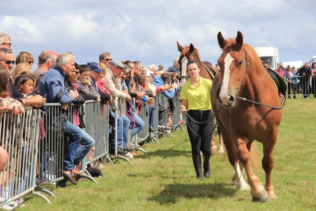 Le comice agricole des Jeunes agriculteurs a lieu ce week-end, en haut ...