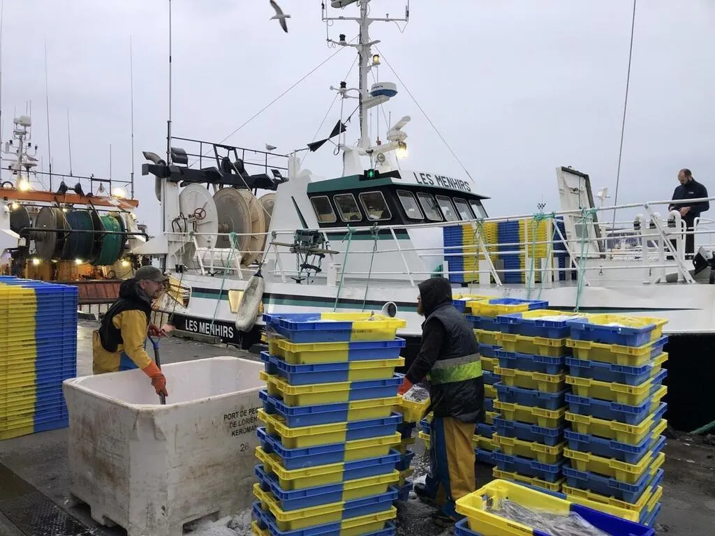 Le merlu, ça se pêche à la ligne, au filet ou au chalut ? - Lorient ...
