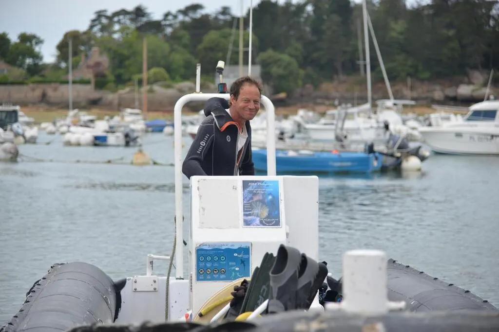 Requins-taupes sur la côte de Granit rose : pourquoi n’y a-t-il que des ...
