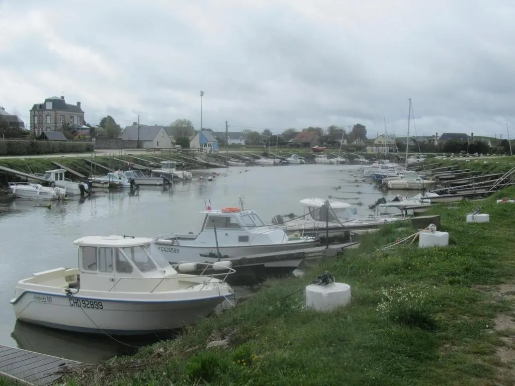 Balades, observation de phoques... Le Parc des marais propose de ...