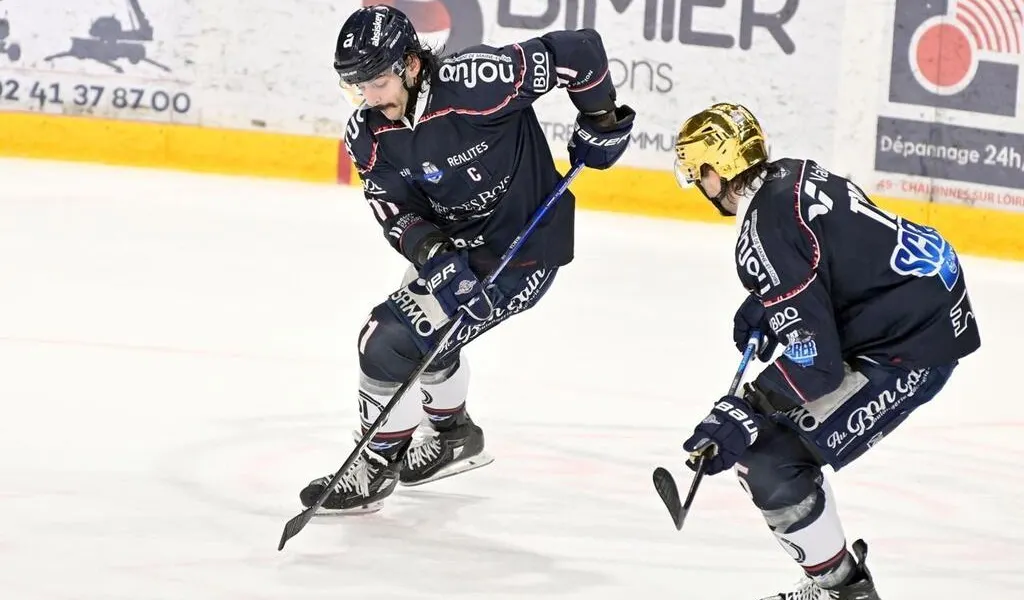 Hockey sur Glace. Les Ducs d’Angers annoncent leur série de matches ...