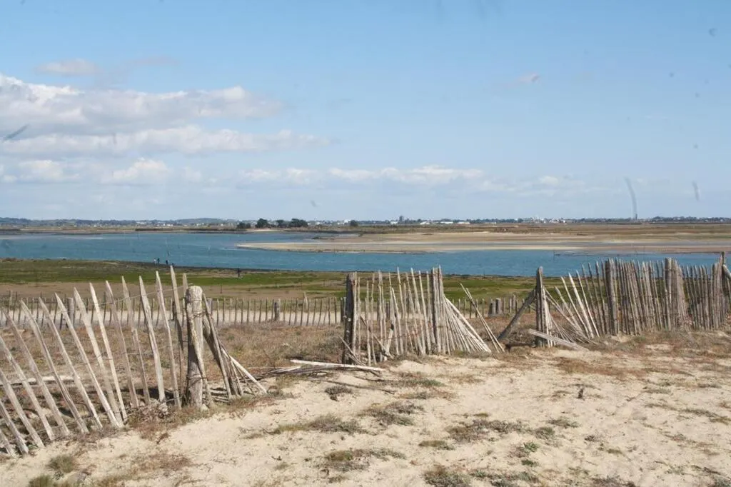 Projet du groupe Vinci à Pen-Bron : les attentes du collectif de ...