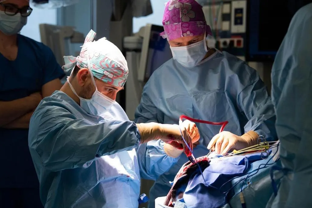 Un adolescent épileptique reçoit un implant cérébral pour limiter ses ...