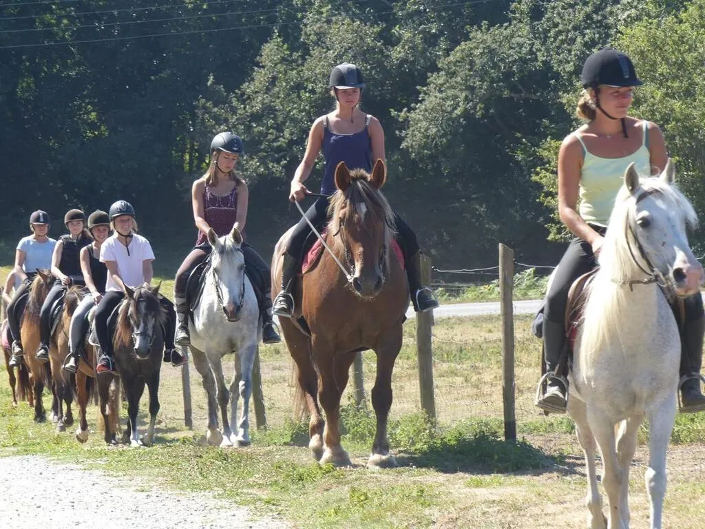 « Beaucoup de nos pensionnaires sont des sauvetages» : à Névez, ce ...