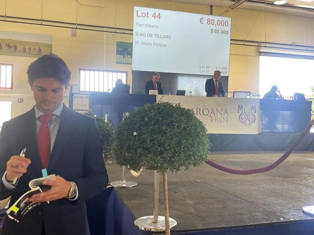 Enchères. 80 000 € pour 1/100e du vainqueur du prix d’Amérique Idao de ...