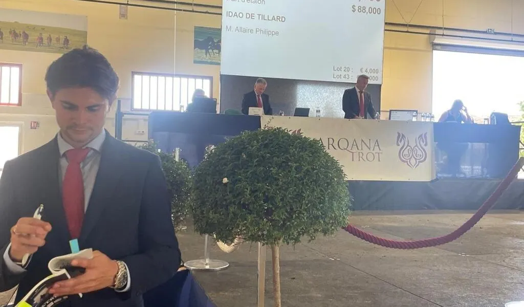 Enchères. 80 000 € pour 1/100e du vainqueur du prix d’Amérique Idao de ...