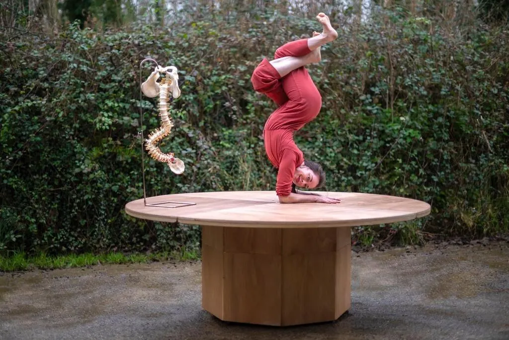 Le Mans fait son cirque. La contorsionniste Élodie Guézou : « On me ...