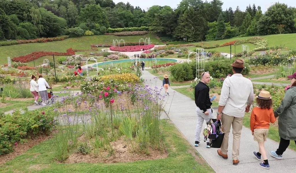 EN IMAGES. « C’est magnifique » : à Caen, la Colline aux oiseaux fait ...