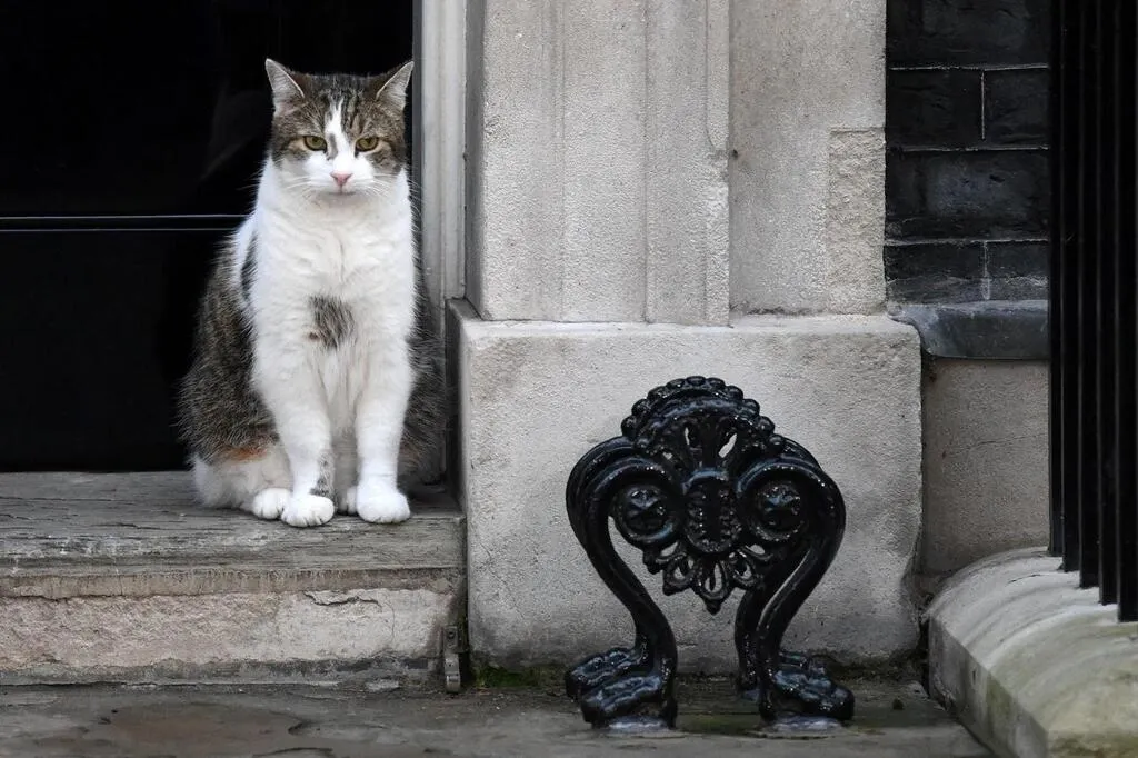 Pour Larry, le chat de Downing Street, une nouvelle cohabitation ...