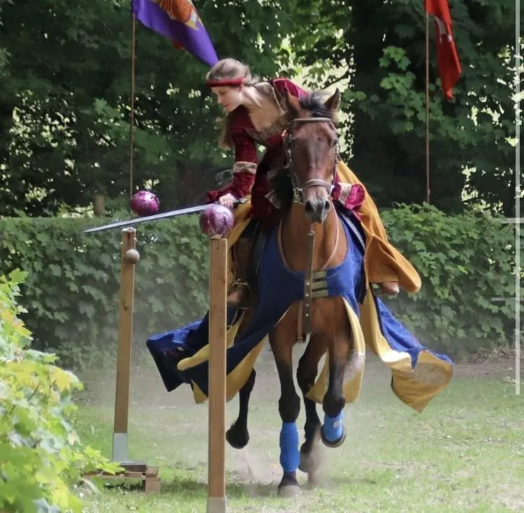 Oyez, oyez ! Un voyage à l’ère médiévale avec le tournoi de chevalerie ...