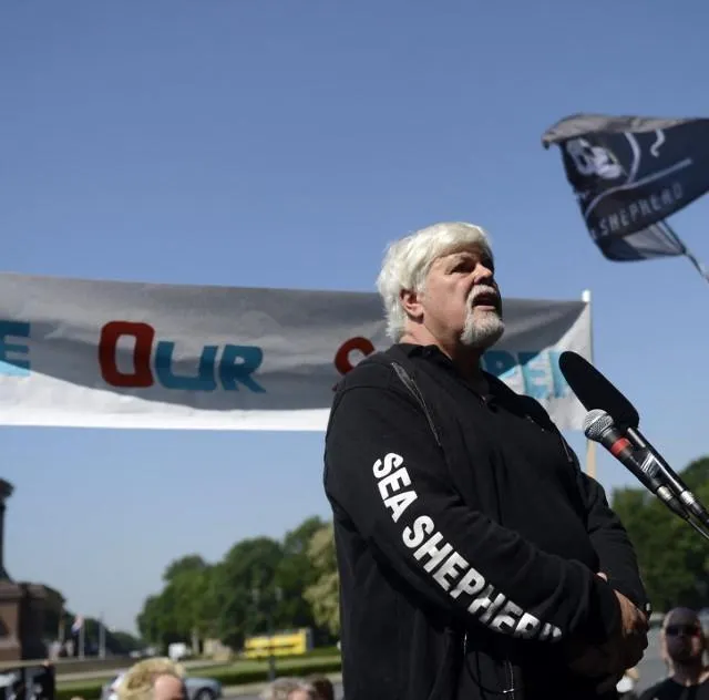 Arrestation de Paul Watson : ce qu’il faut savoir sur le fondateur de ...