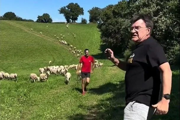 Jeux olympiques. Patrick Montel commente une course de Léon Marchand au ...