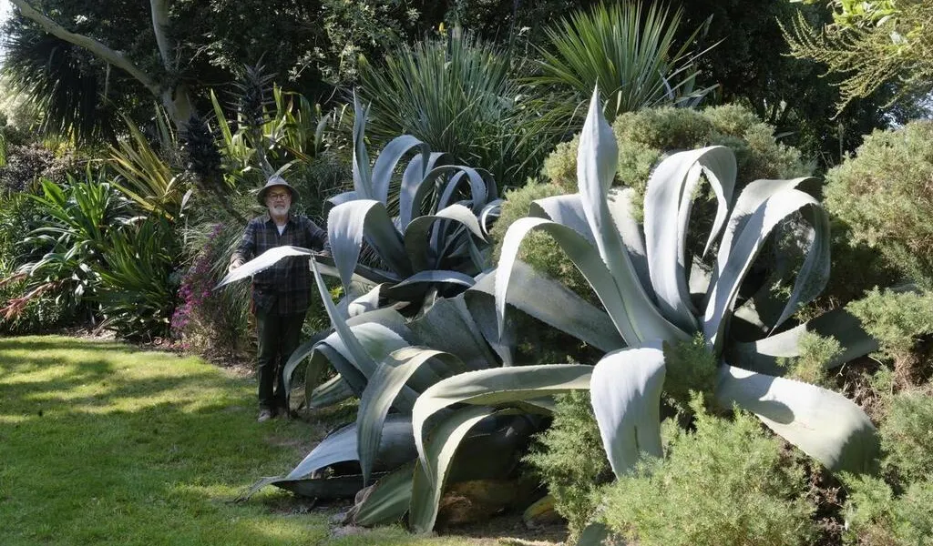 REPORTAGE. « Un endroit unique » : entre forêt et mer, il a créé le ...