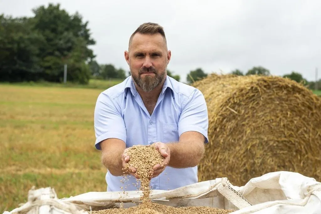 REPORTAGE. « Cela risque d’être problématique » : la mauvaise moisson ...