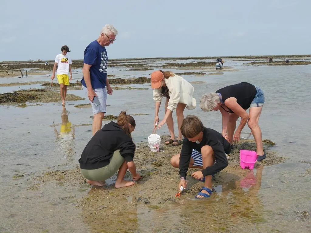 REPORTAGE. Dans la Manche, on apprend les bonnes pratiques de pêche à ...