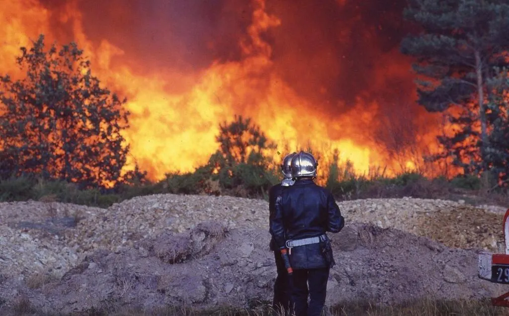 Risque de feux de forêts : 23 massifs forestiers fermés dans les ...