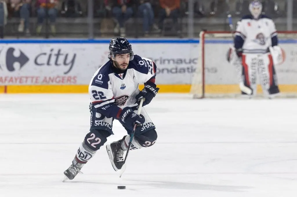 Hockey sur glace. Ligue Magnus. Les Ducs d’Angers dominent les Aigles ...