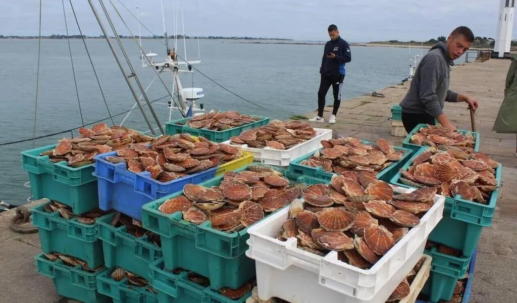 En Normandie, c’est bientôt l’heure de l’ouverture de la pêche à la ...