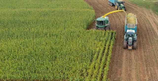 REPORTAGE. L’ensilage du maïs, le travail d’une année qui se joue en ...
