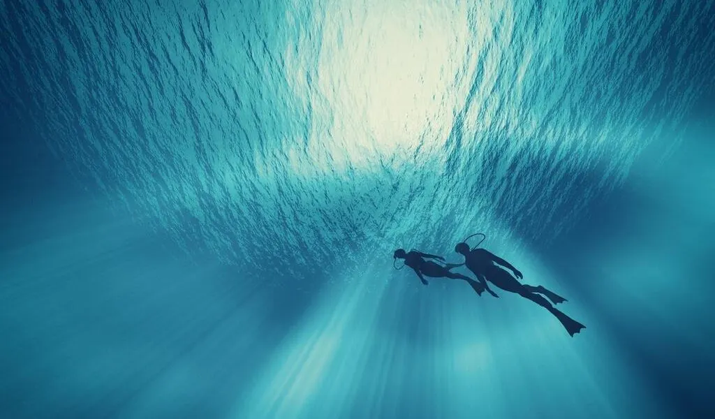 Que cachent les abysses ? On vous emmène à 11 000 mètres sous les mers ...