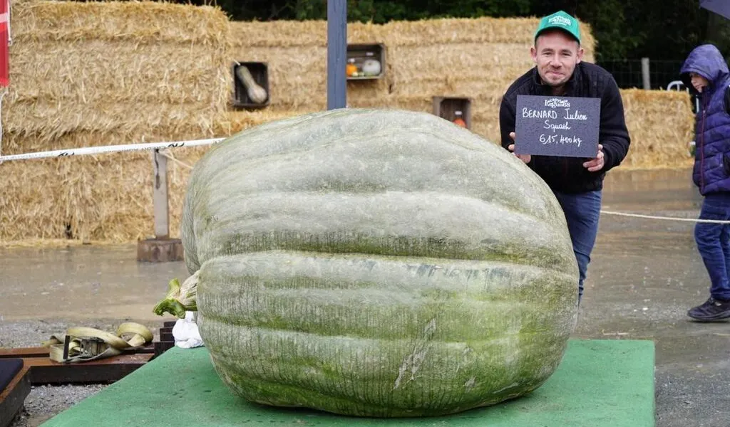 Concours de légumes géants : la plus grosse courge de France est ...