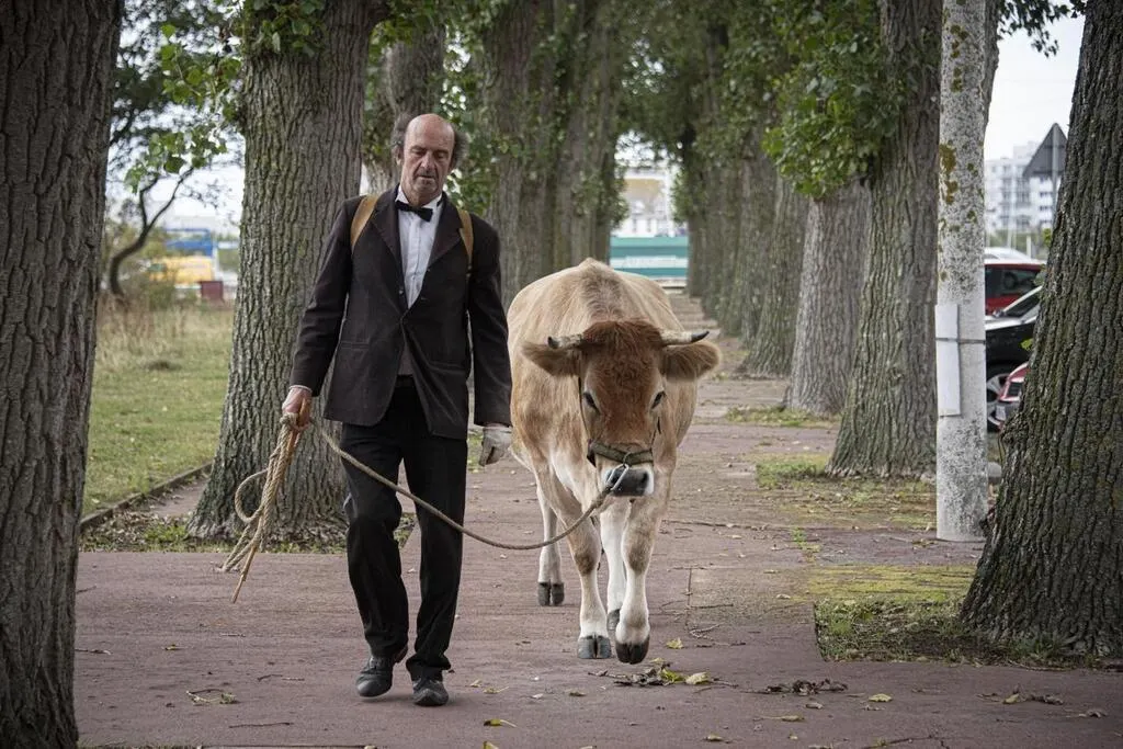 Après huit ans de vagabondage, on ne verra plus l’homme et sa vache ...