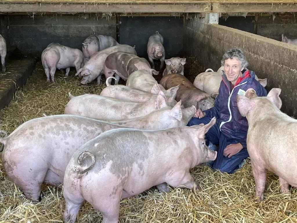 « Savoir d’où vient la viande » : ces bouchers visitent un élevage de porcs en - Dinan.maville.com