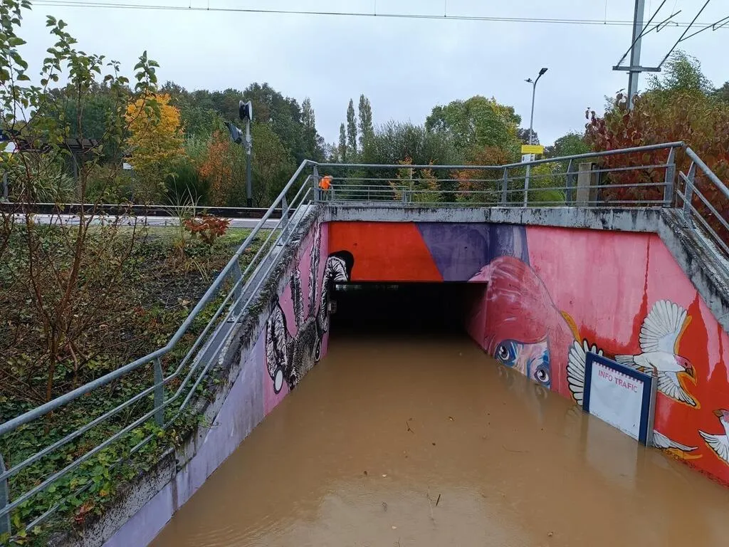 EN IMAGES. Tempête Kirk : le vignoble de Nantes en partie épargné par ...