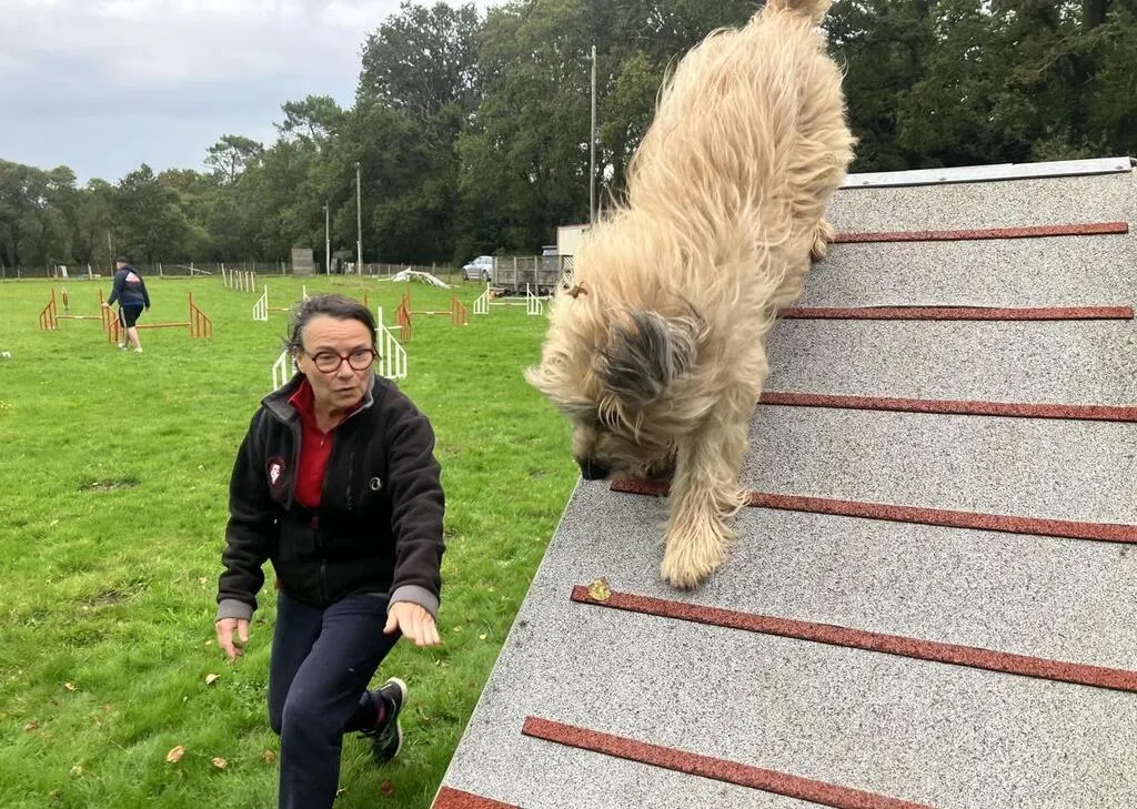 EN IMAGES. Françoise et son chien Jango avalent les obstacles avec ...