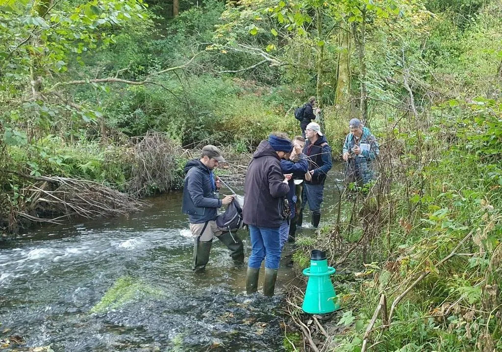 « Si nous les voyons, c’est bon signe »: ils répertorient les mousses ...