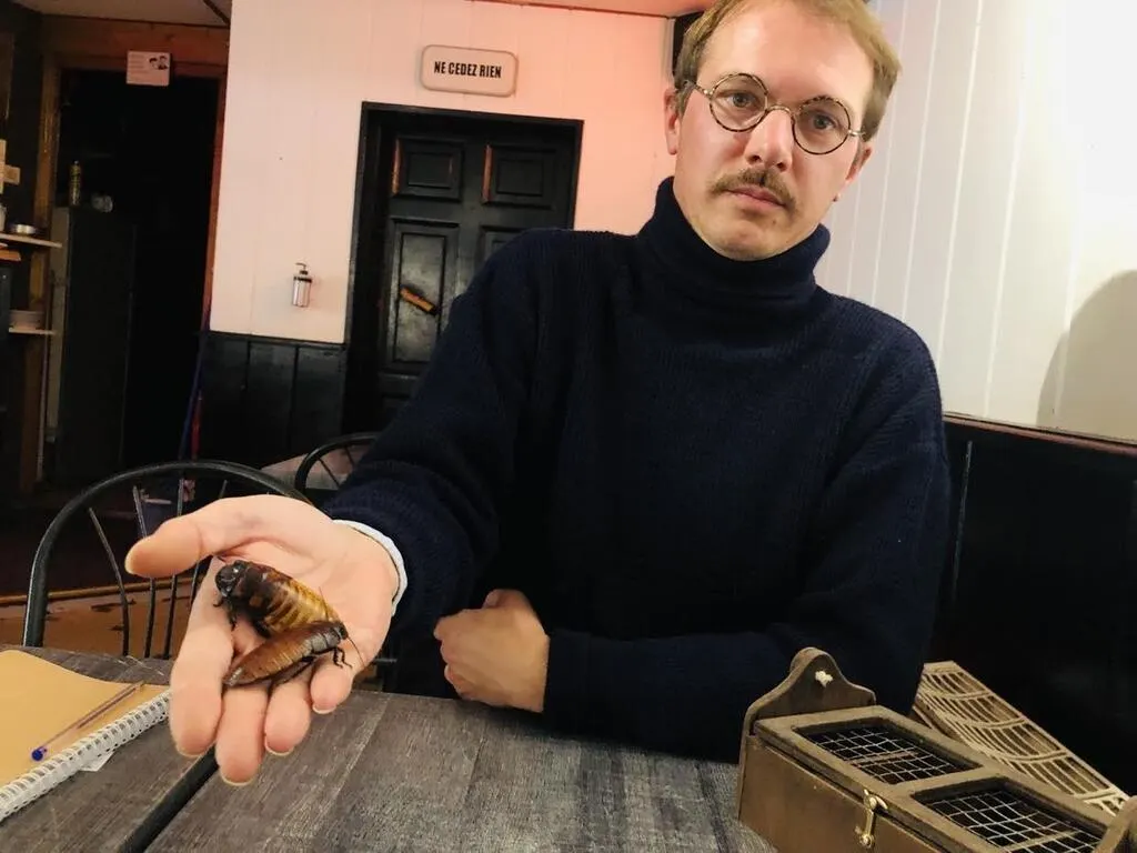 « J’adore les attraper » : ce papa organise des courses de blattes ...