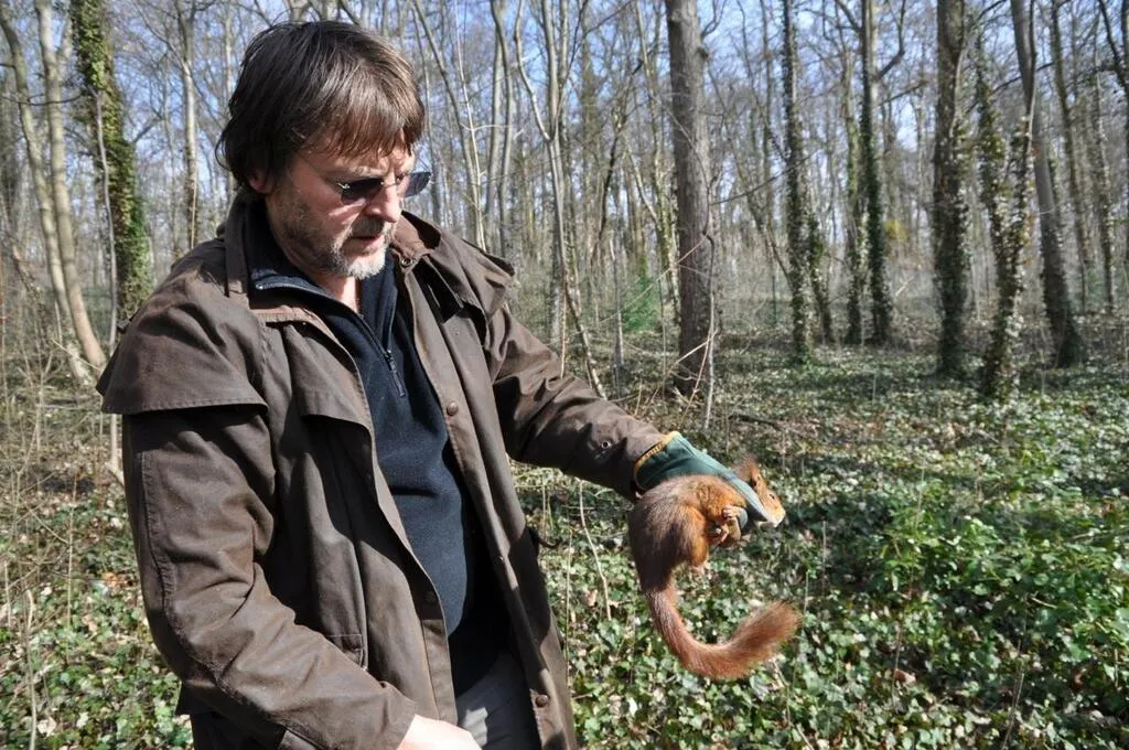 Comment observer les écureuils roux dans la nature ? Tous nos conseils ...