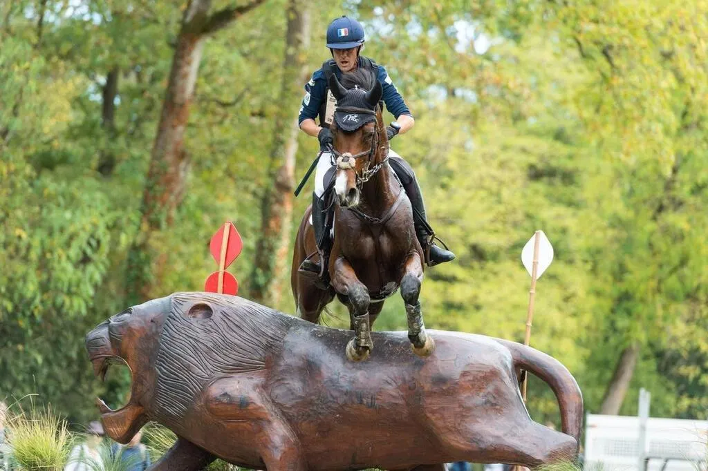 « J’en ai ras le bol » : le menuisier du Mondial du Lion raccroche après l’amère - La Baule ...