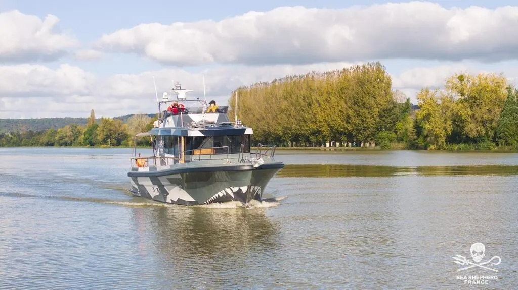 Les opérations de recherche de la baleine égarée dans la Seine se ...
