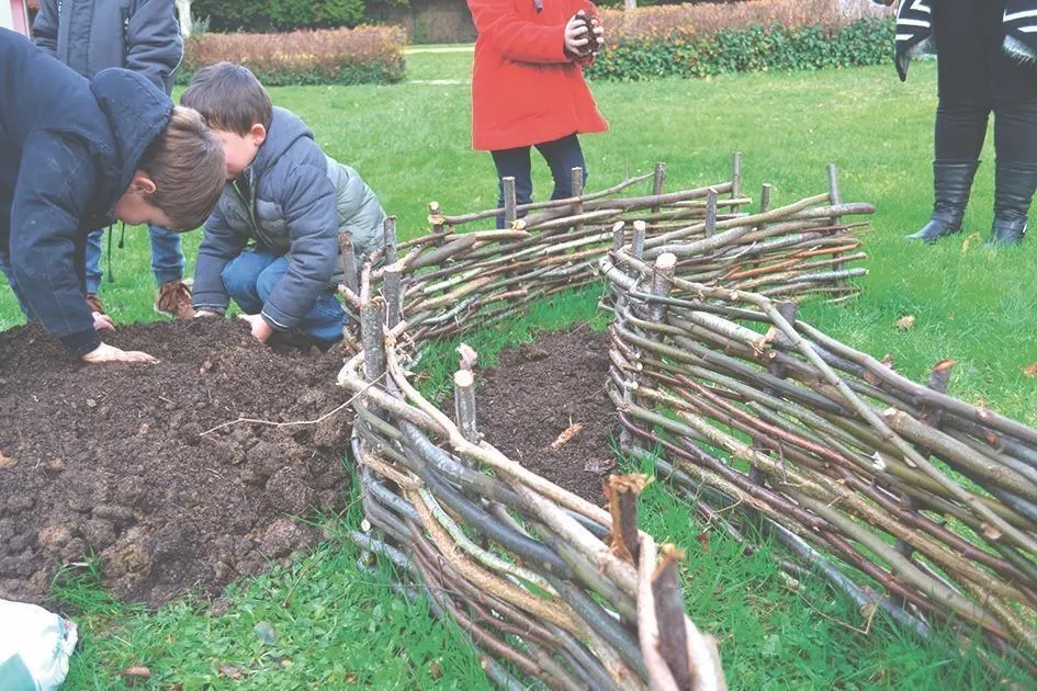 Vannerie extérieure pour le jardin : comment tresser des végétaux ...