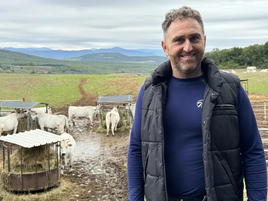 REPORTAGE. En Italie, les vaches les plus grandes du monde - Caen ...