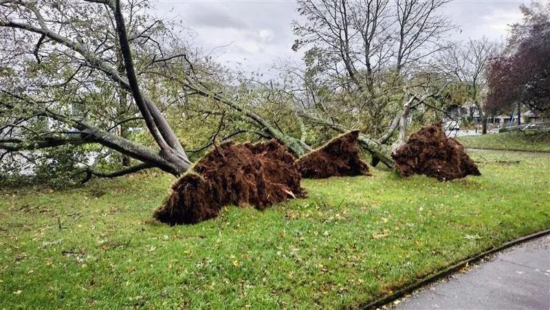 « Un traumatisme » : il y a un an, à Brest, la tempête Ciaran mettait à ...