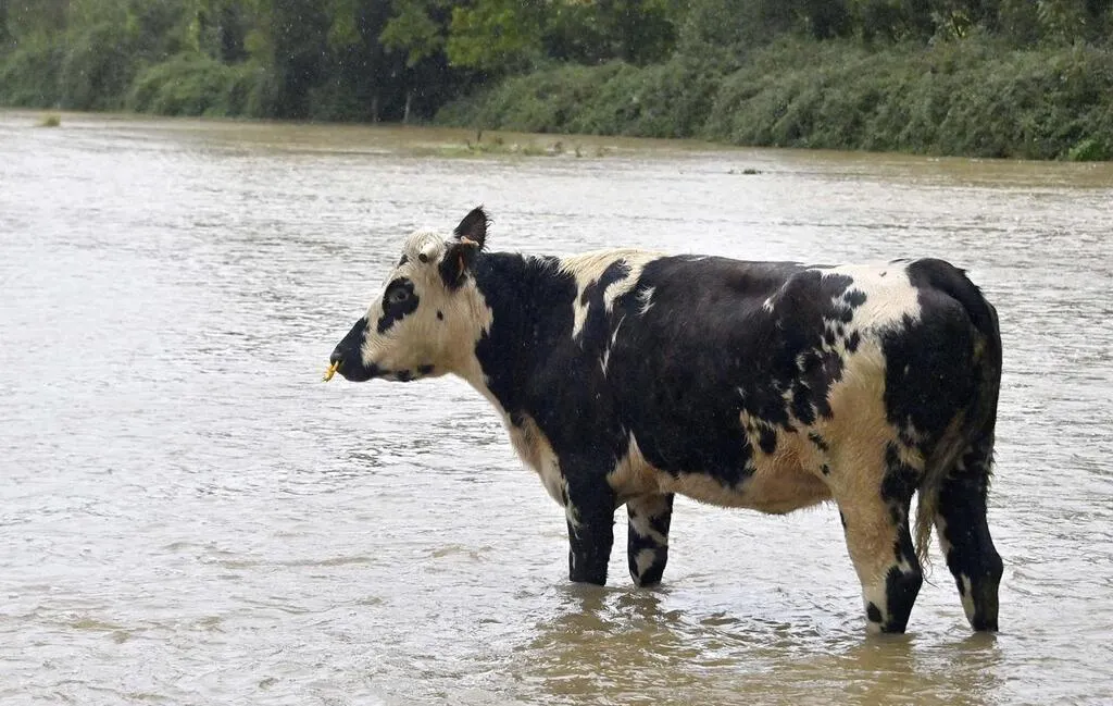 Inondations, coulées de boue : l’état de catastrophe naturelle reconnu ...