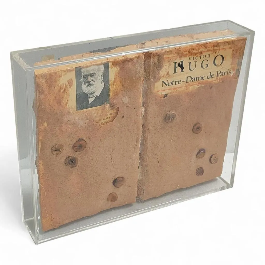 Qui veut acheter un livre cuit au four de Victor Hugo ? - Fréjus-Saint ...